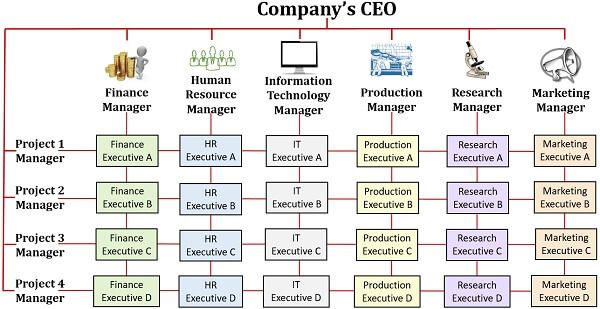 What Is Matrix Organizational Structure Definition Roles Features 